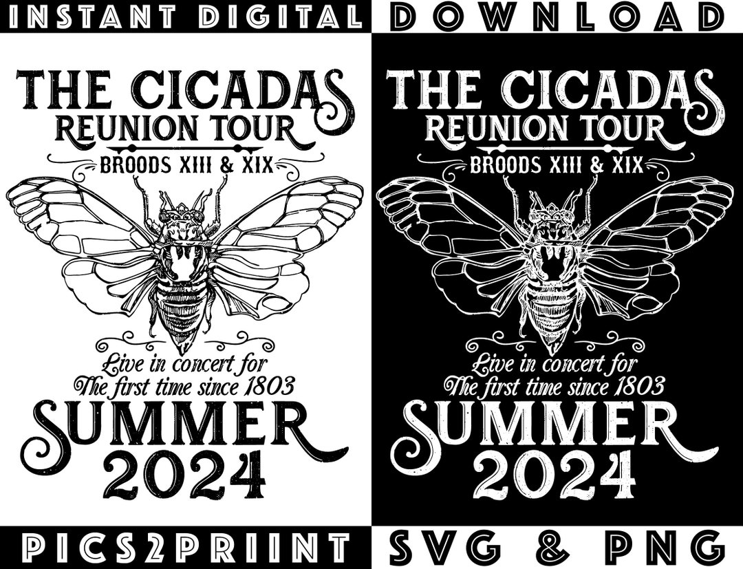 The Cicadas Reunion Tour Png, Cicadas Invasion Summer Scream 2024 Png ...