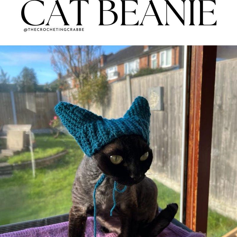 Crochet Sphynx Cat Hat - Etsy UK