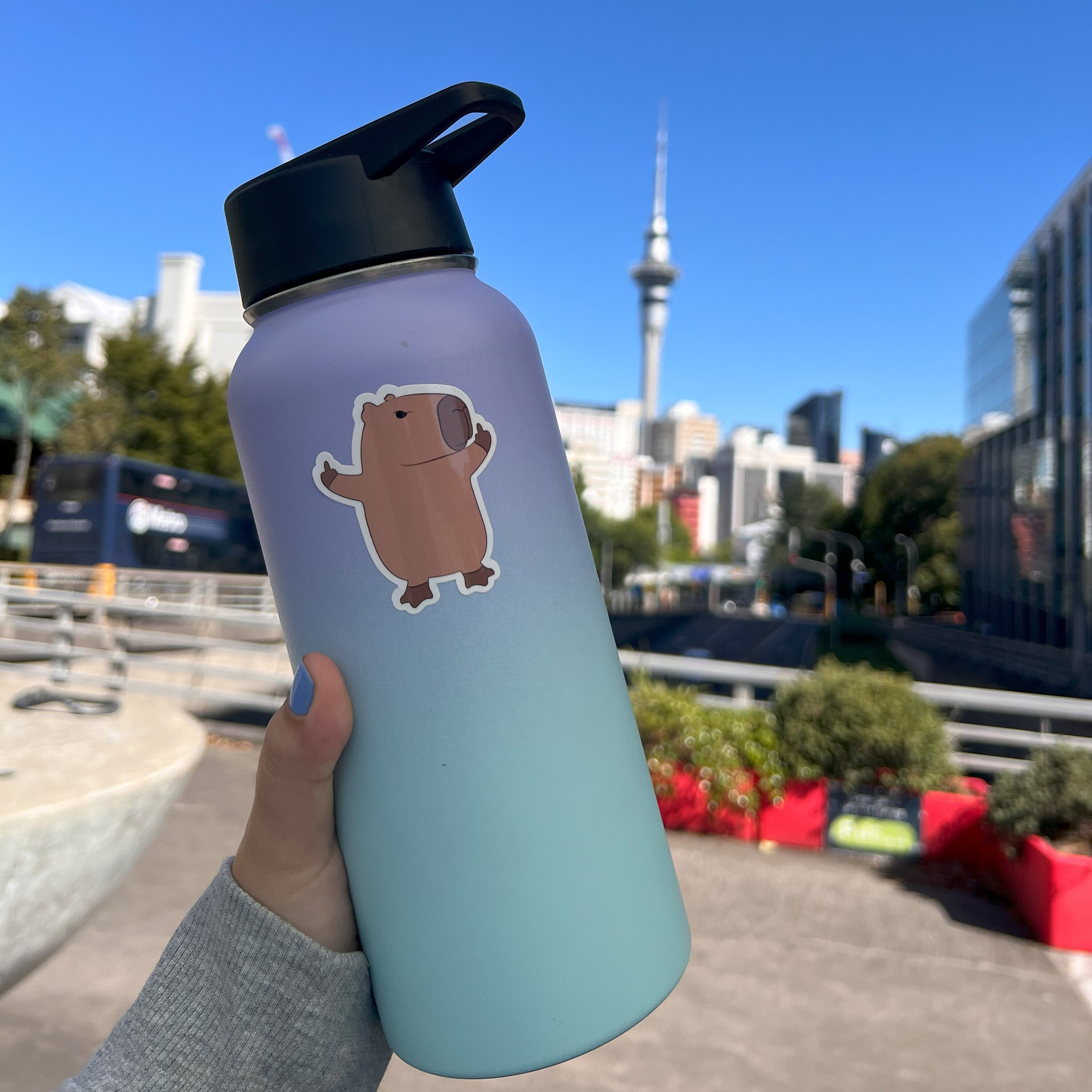 Cute Capybara Sticker, Middle Finger Sticker, Kawaii Sticker ...