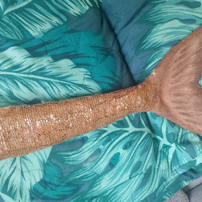 H2o Mermaid Tail - Etsy