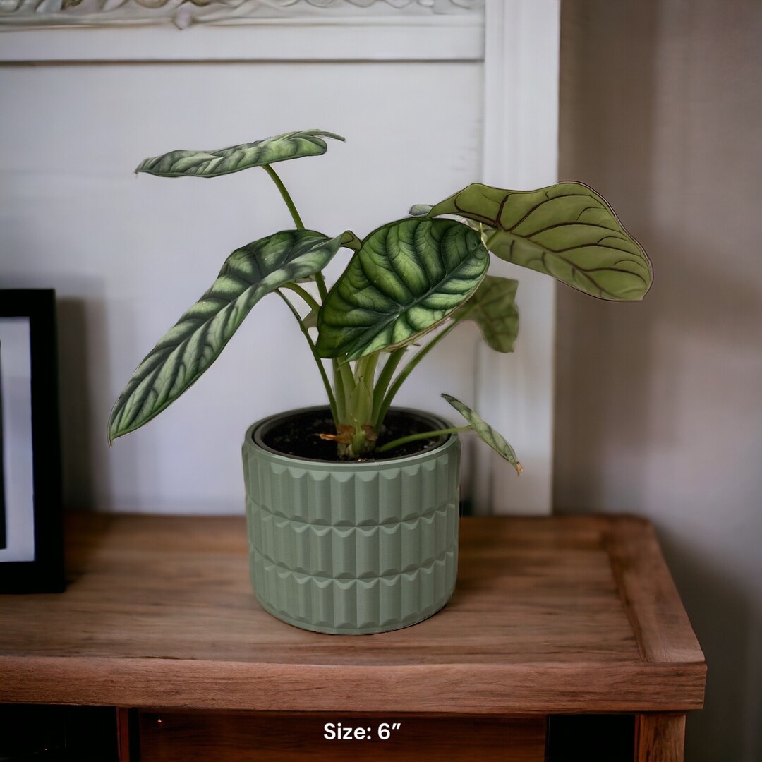 Unique Plant Pot Elysian Planter in Muted Green 3D Printed Sustainable ...