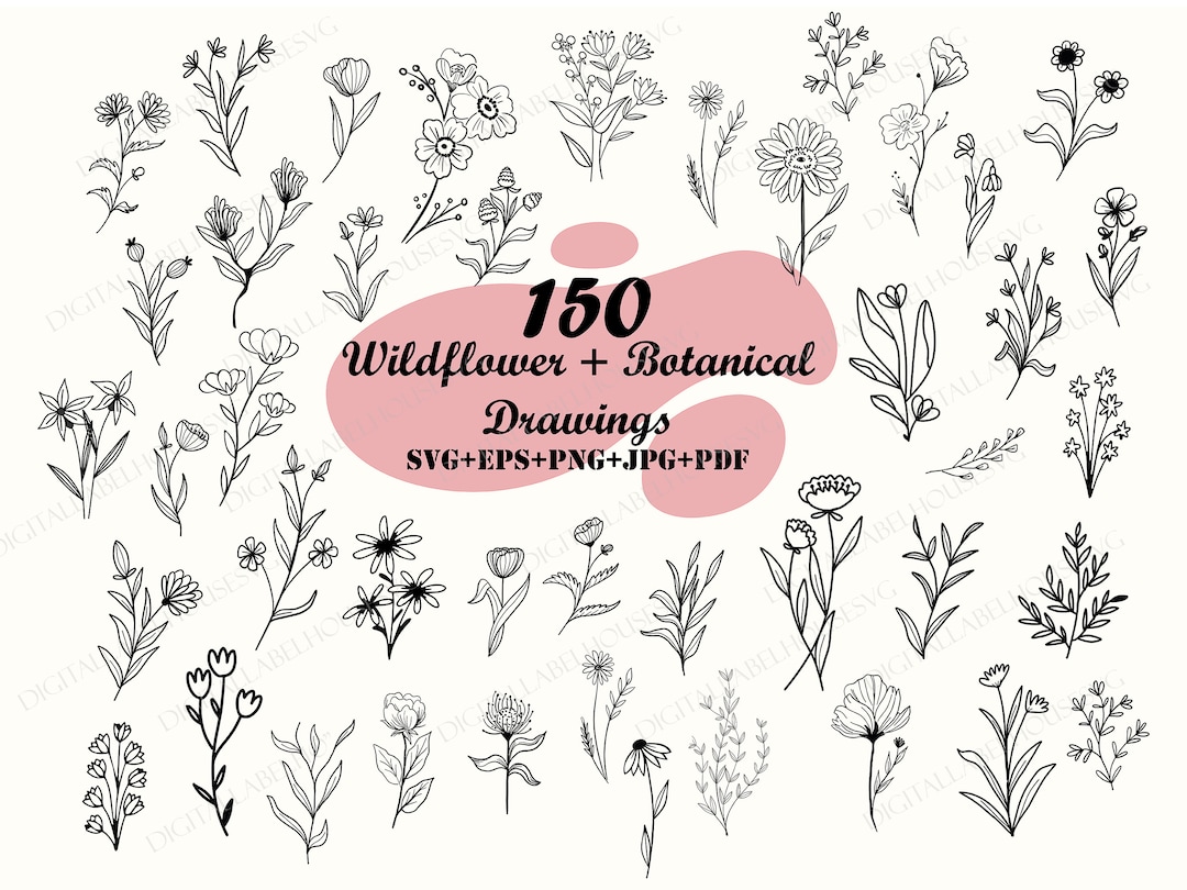 Botanical SVG, SVG Files, Flower Svg Bundle, Floral Svg, Leaves Svg ...