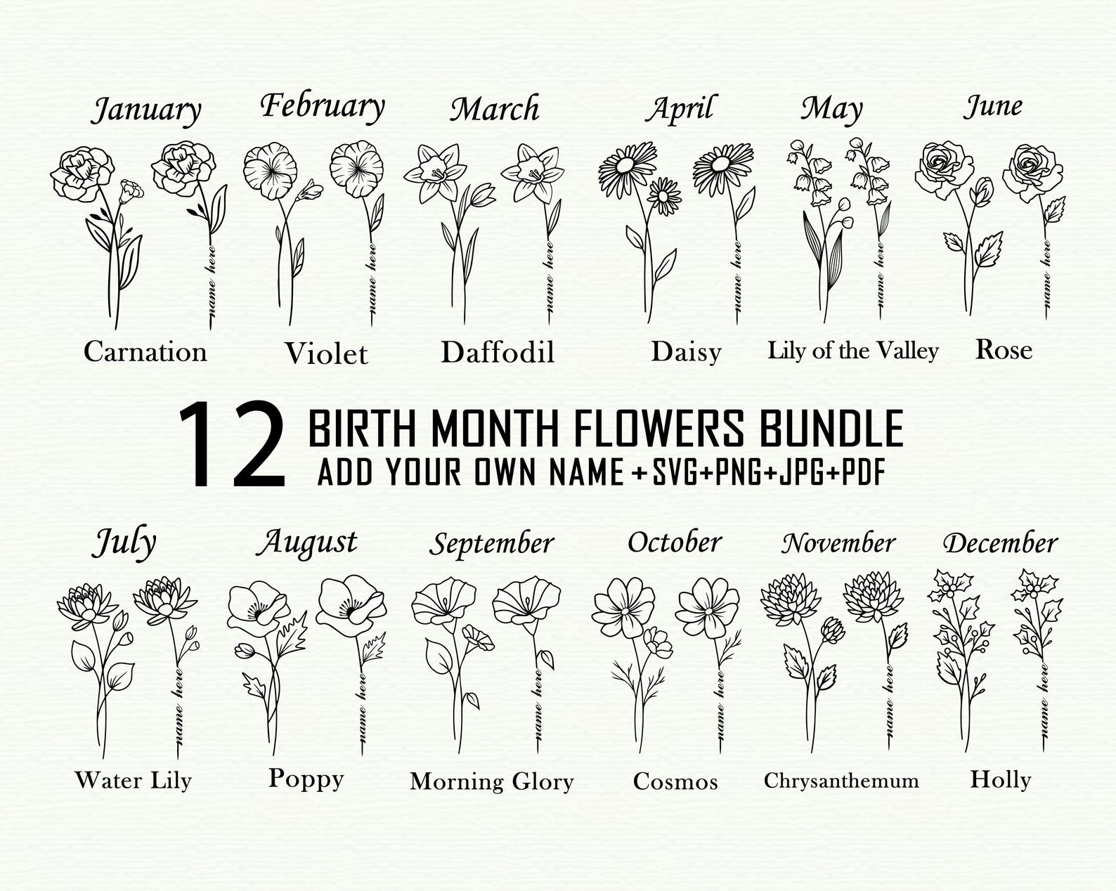 Birth Month Flower SVG Bundle, Botanical Floral Designs (digital ...