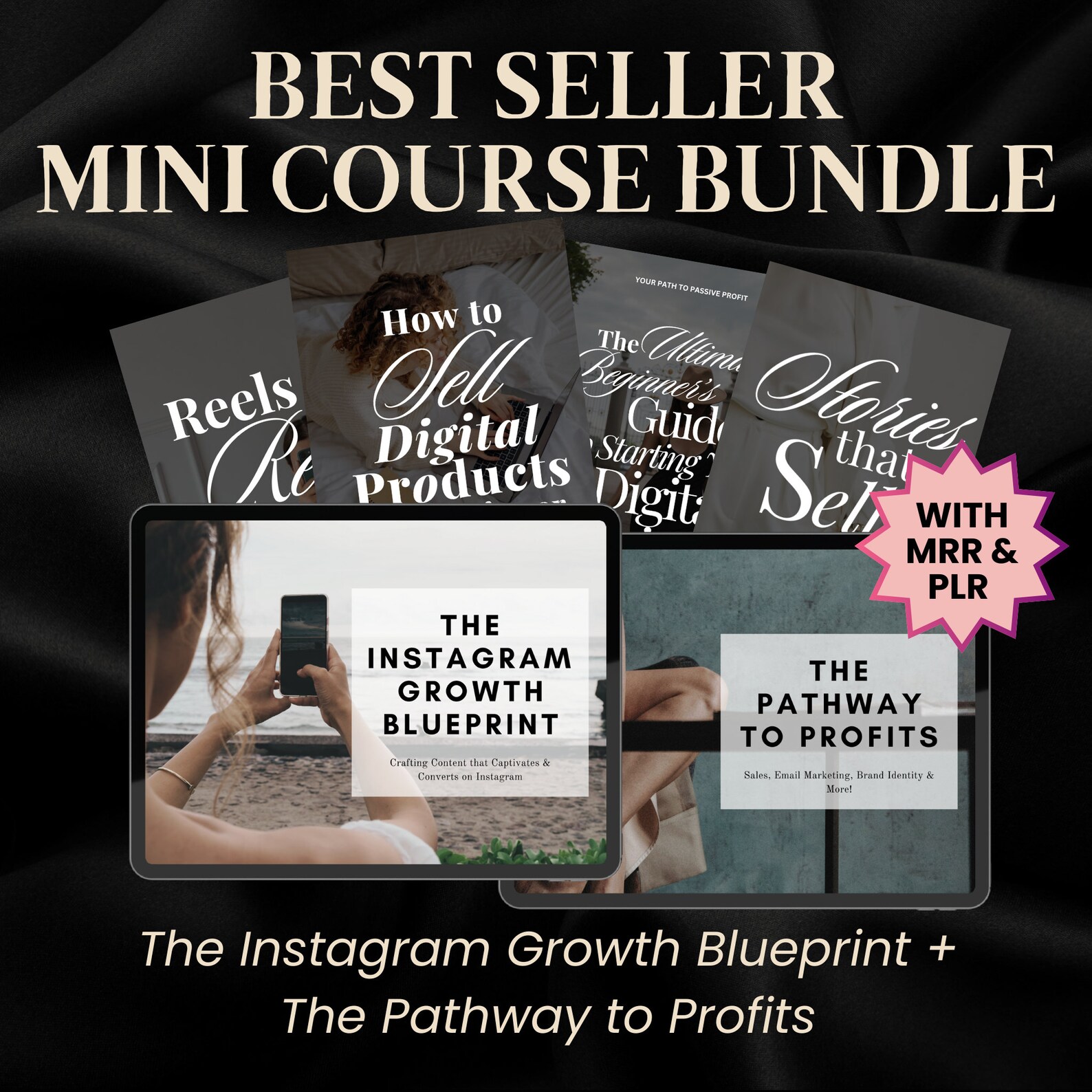 Instagram Growth Blueprint and the Pathway to Profits Course With MRR and PLR, Digital Marketing ...