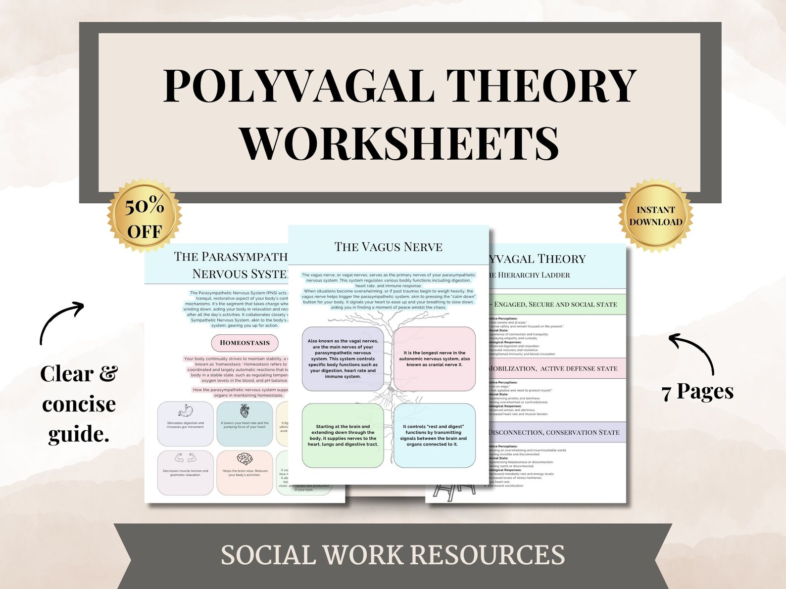 Polyvagal Theory Emotional Regulation Hierarchy Ladder,nervous System ...