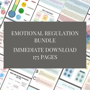 Emotional Regulation Bundle,zones of Regulation, Self Regulation Kids ...