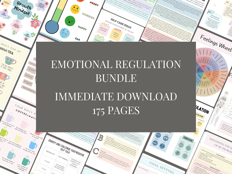 Emotional Regulation Bundle,zones of Regulation, Self Regulation Kids ...