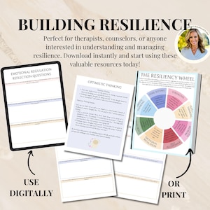 Building Emotional Resilience Resiliency Wheel, Building Resilience ...