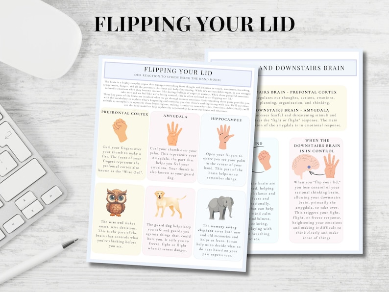 Understanding Your Brain When Your Flipping Your Lid, Brain and ...