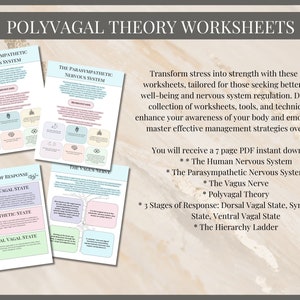 Polyvagal Theory Emotional Regulation Hierarchy Ladder,nervous System ...