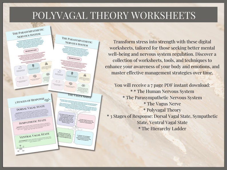 Polyvagal Theory Emotional Regulation Hierarchy Ladder,nervous System ...