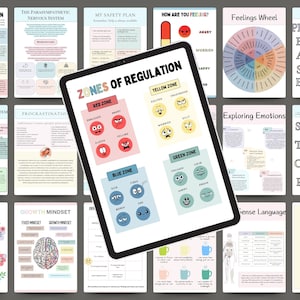 Emotional Regulation Bundle,zones of Regulation, Self Regulation Kids ...