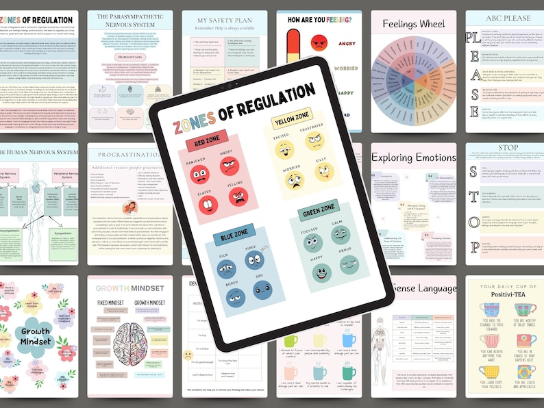 Emotional Regulation Bundle,zones of Regulation, Self Regulation Kids ...