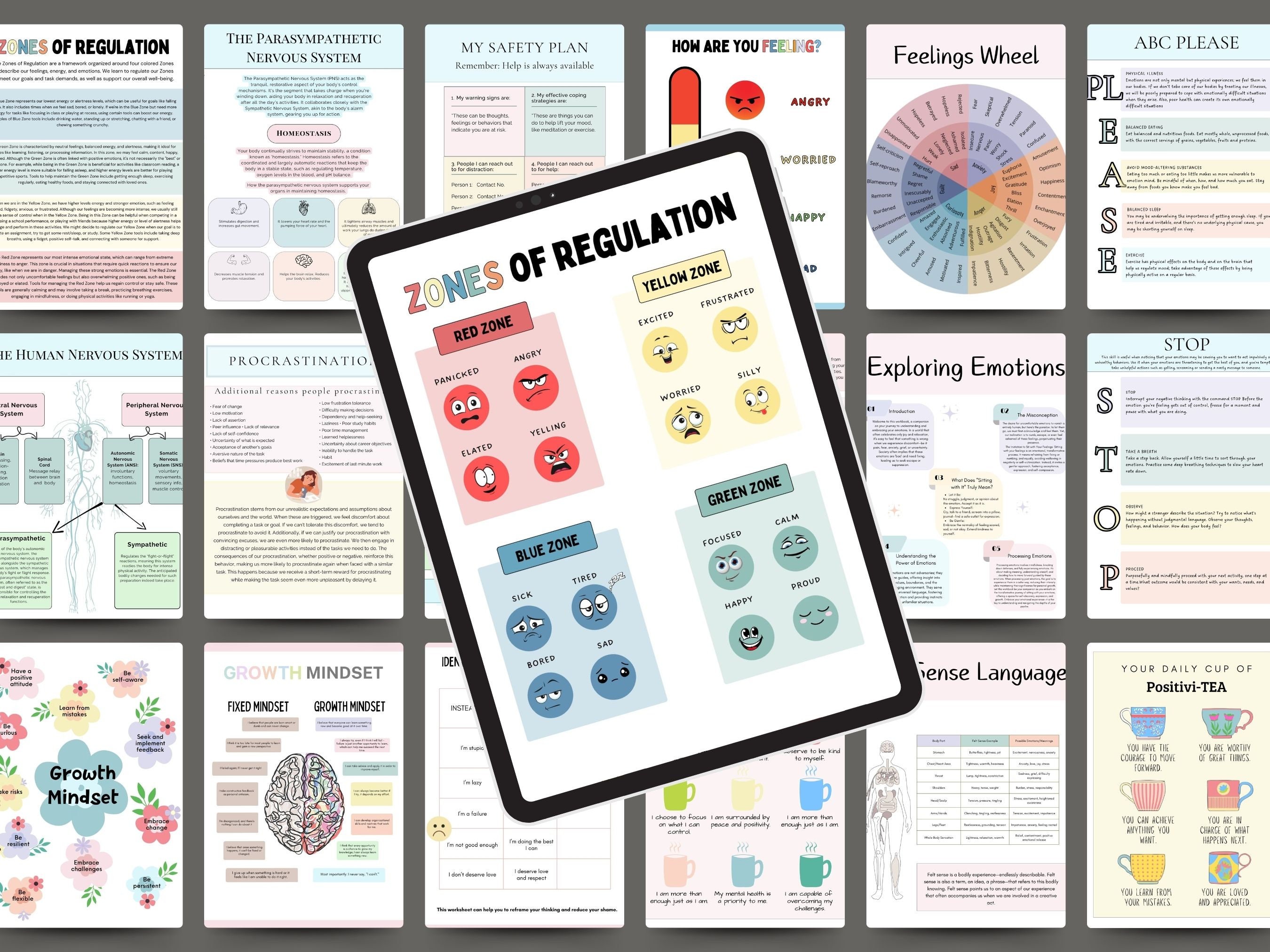 Emotional Regulation Bundle,zones of Regulation, Self Regulation Kids ...