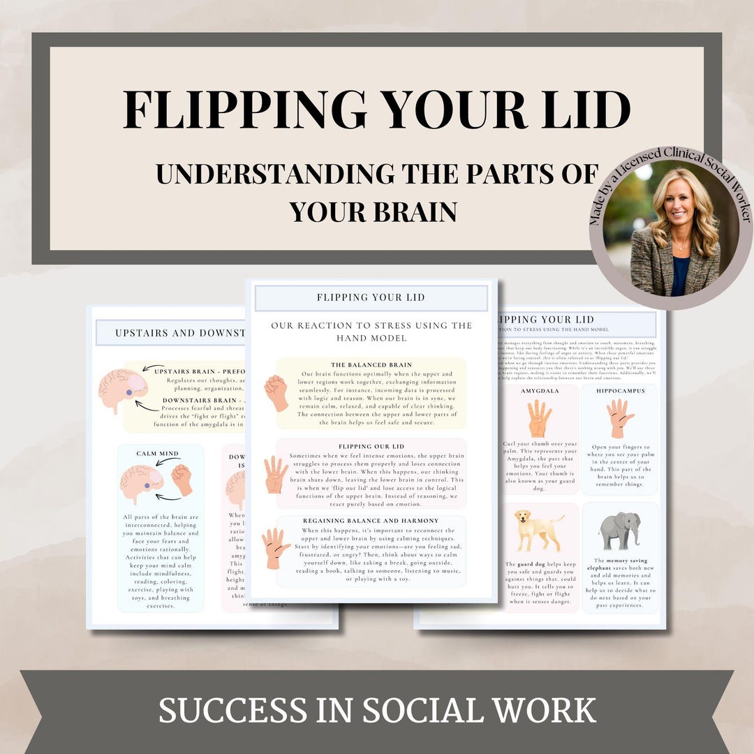 Understanding Your Brain When Your Flipping Your Lid, Brain and ...