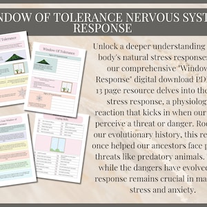 Window of Tolerance Nervous System Response, Therapy Worksheets, Window ...