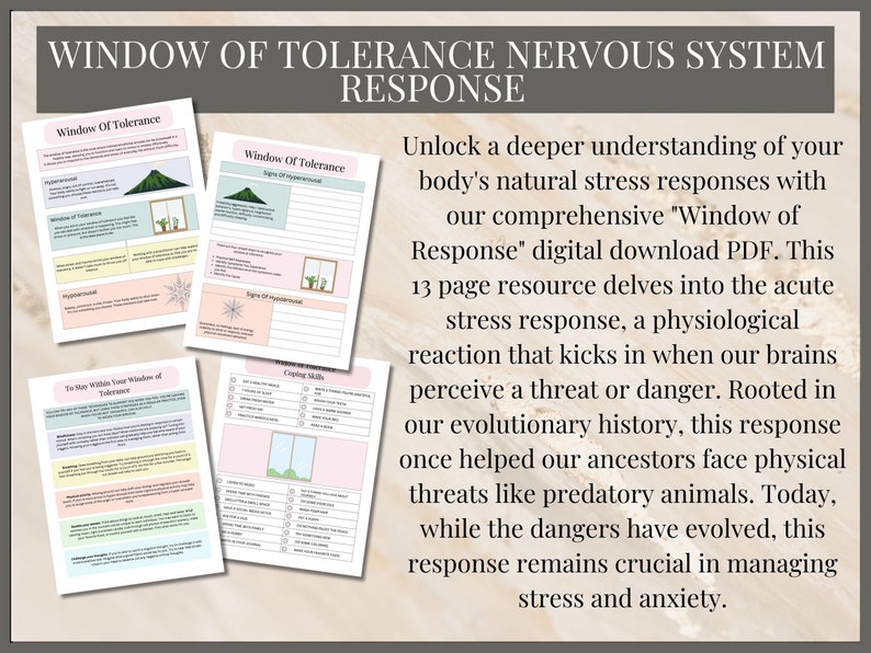 Window of Tolerance Nervous System Response, Therapy Worksheets, Window ...