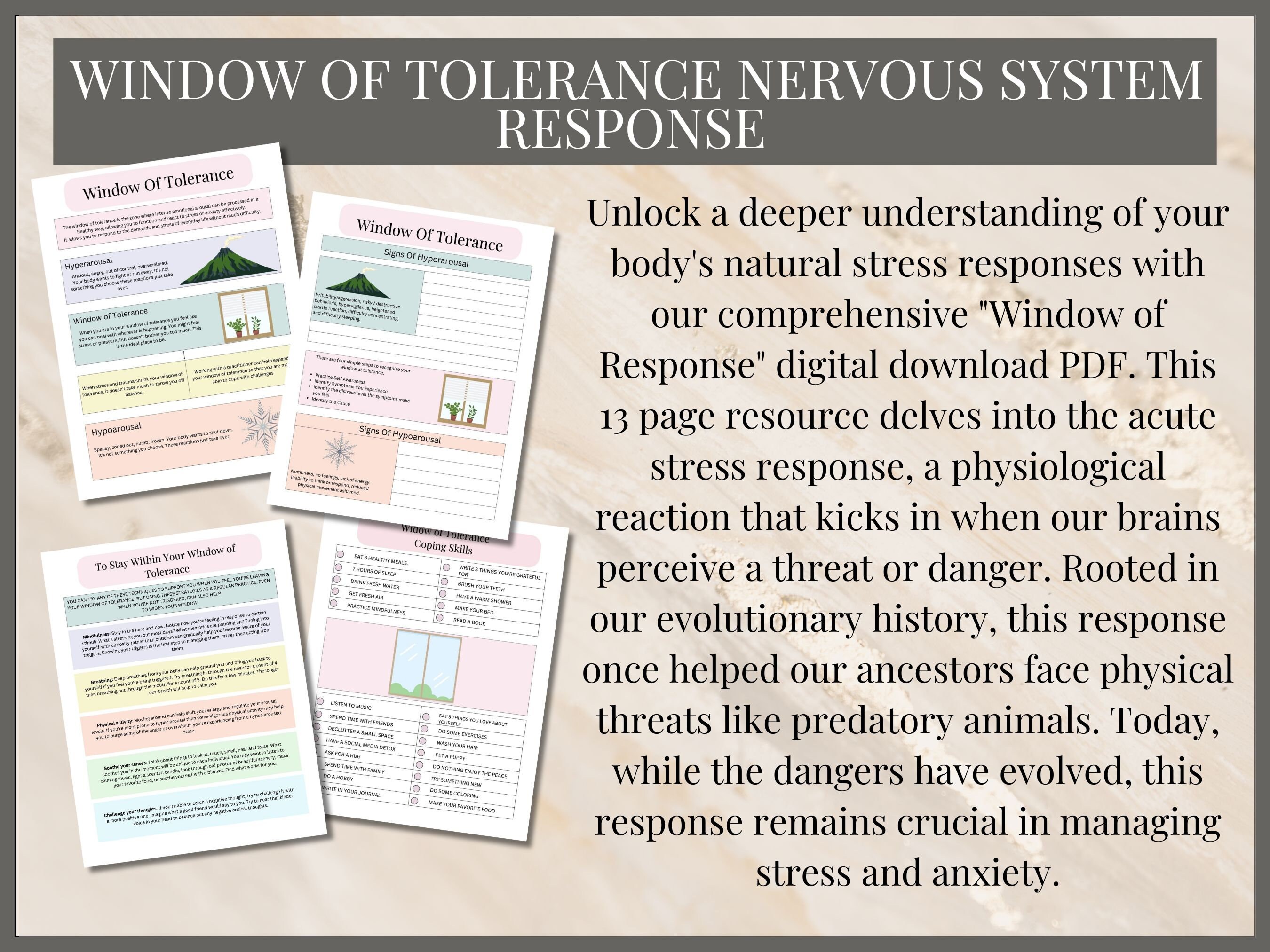 Window of Tolerance Nervous System Response, Therapy Worksheets, Window ...
