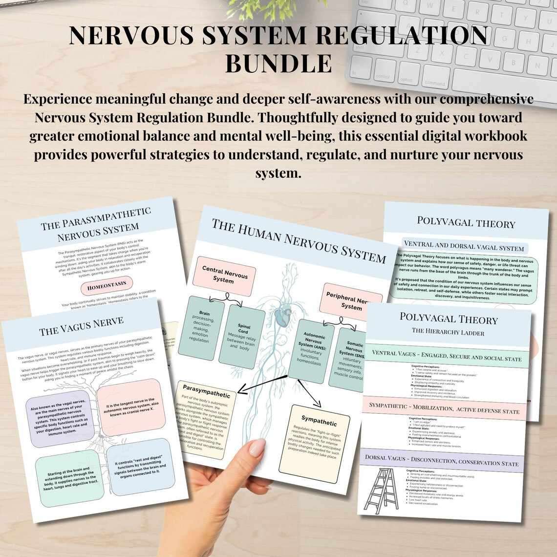 Nervous System Regulation Bundle, Polyvagal Theory Ladder Vagus Vagal ...