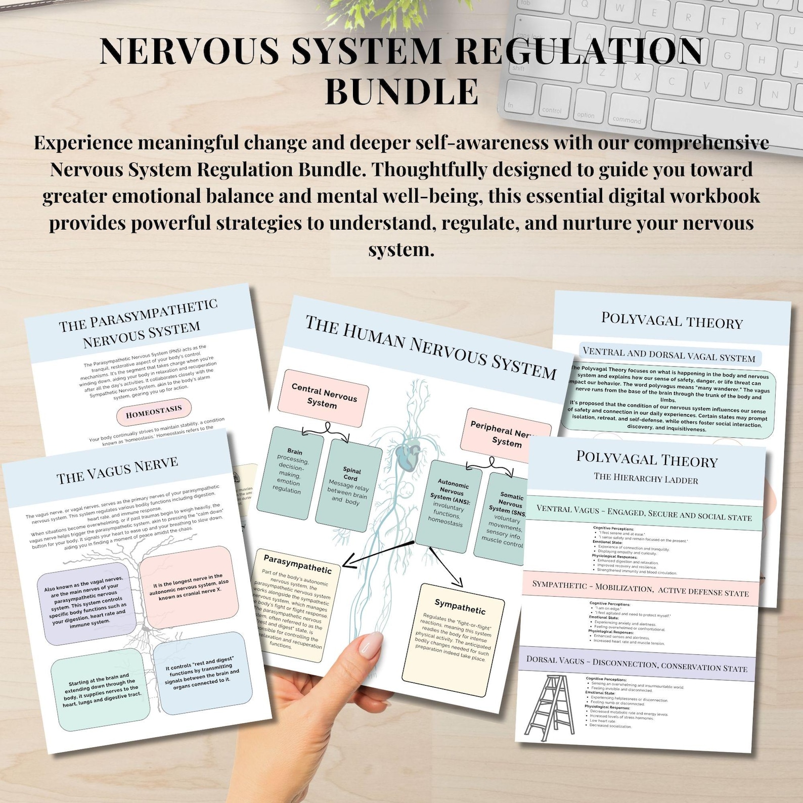 Nervous System Regulation Bundle, Polyvagal Theory Ladder Vagus Vagal ...