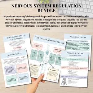 Nervous System Regulation Therapy Workbook for Therapist, Polyvagal ...