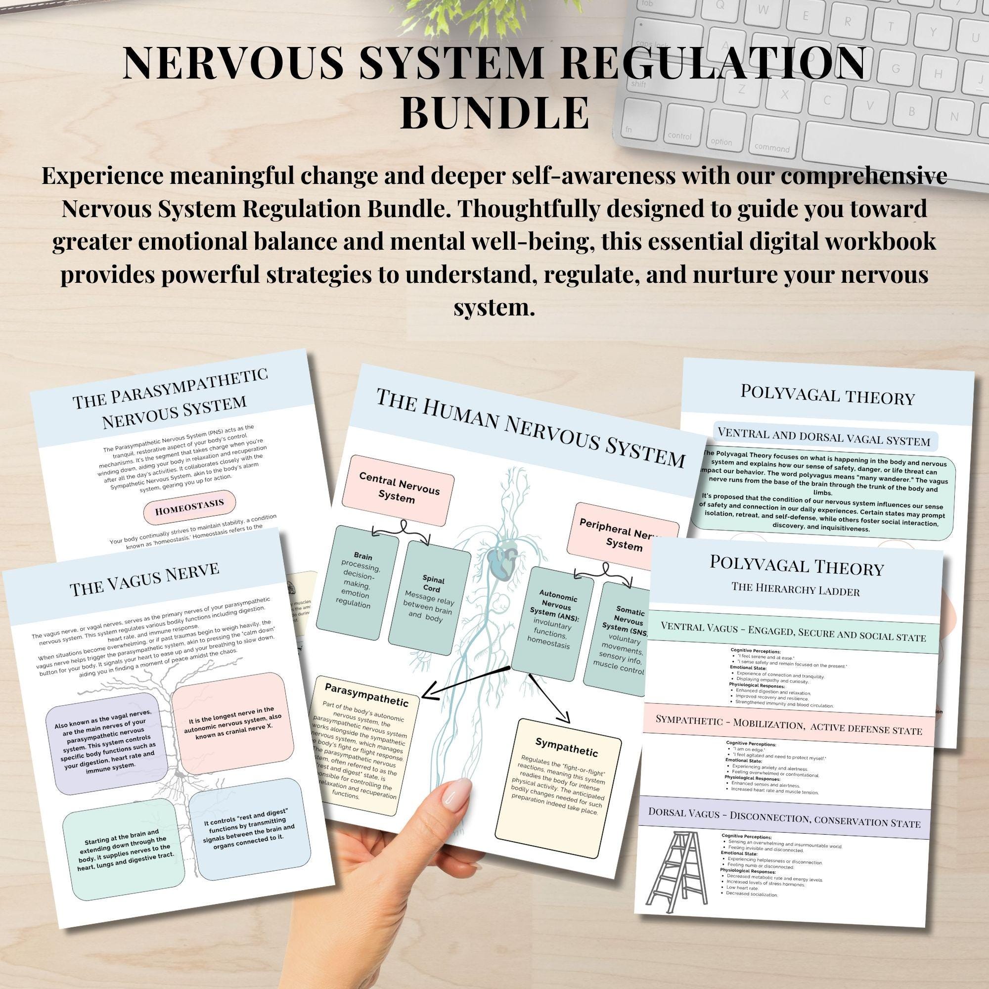 Nervous System Regulation Bundle, Polyvagal Theory Ladder Vagus Vagal ...