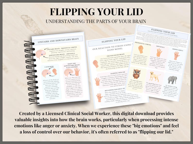 Understanding Your Brain When Your Flipping Your Lid, Brain and ...