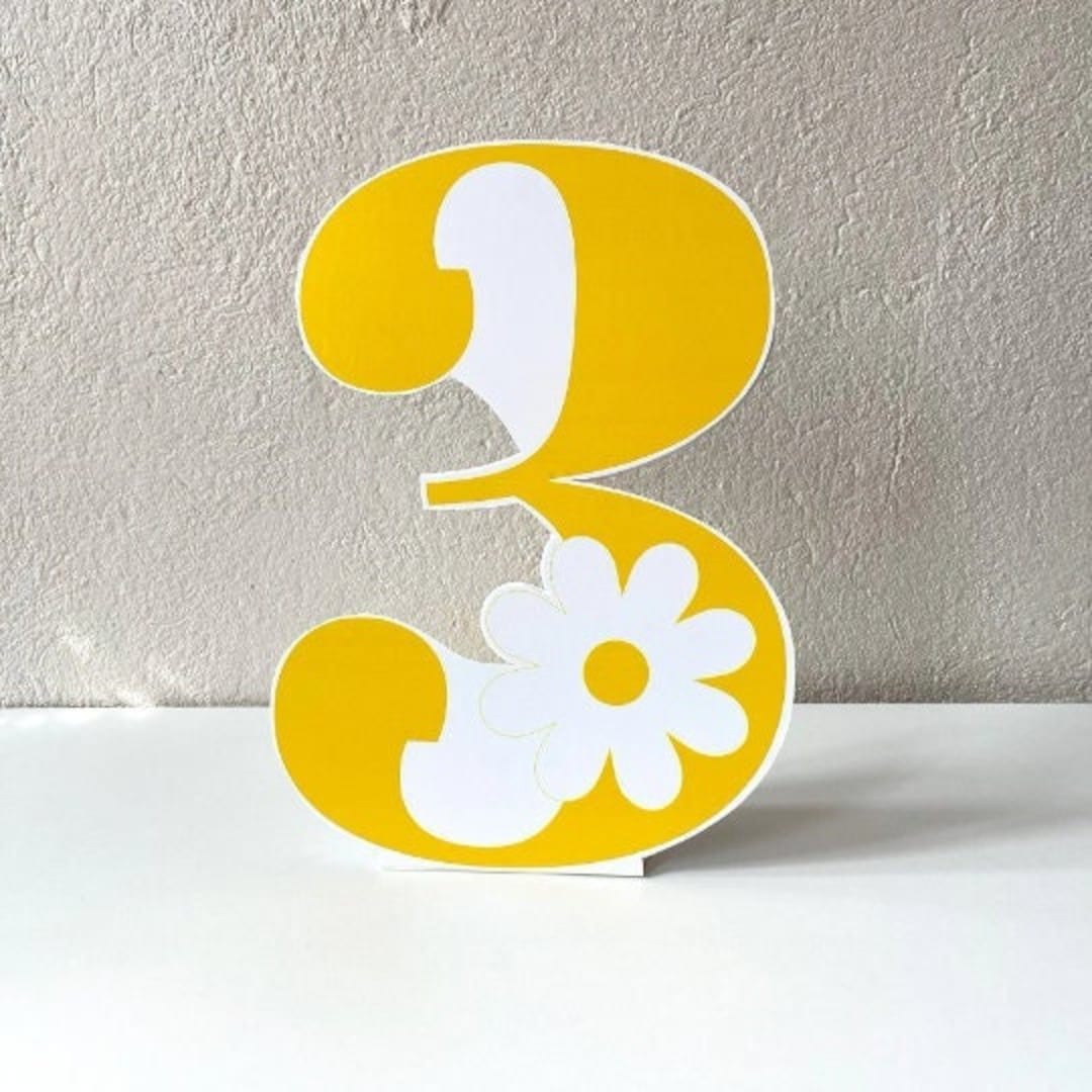 Daisy Birthday Party Number Cardboard Cut Out Daisy Flower - Etsy