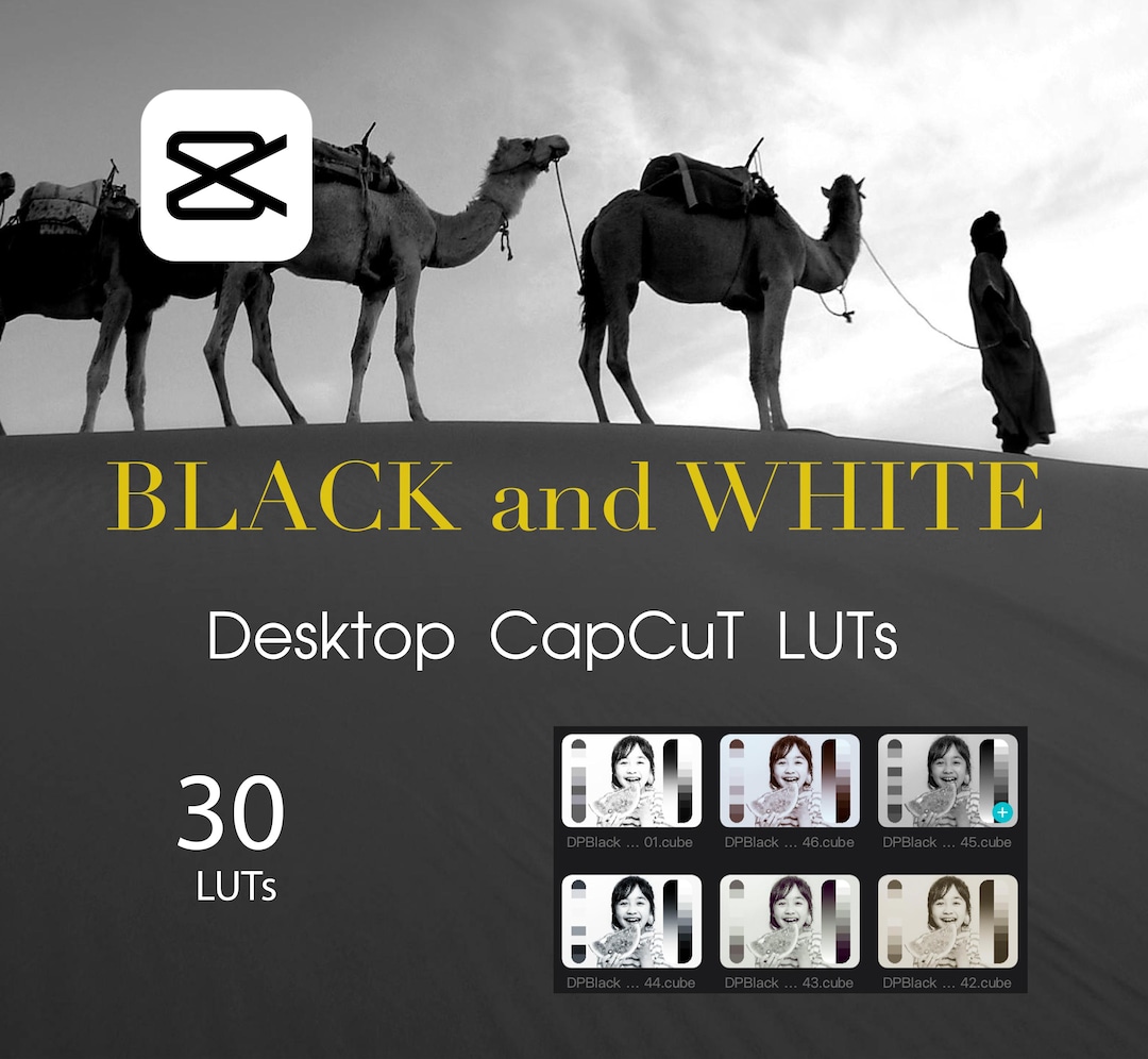 Desktop Capcut Luts, Black White Luts, Free Luts, Color Grading, Log to ...