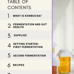Kombucha Guide | Ebook | Fermentation | How to | Recipes | Health | Comprehensive | for ...