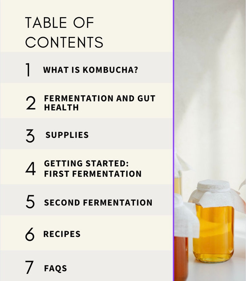 Kombucha Guide | Ebook | Fermentation | How to | Recipes | Health | Comprehensive | for ...