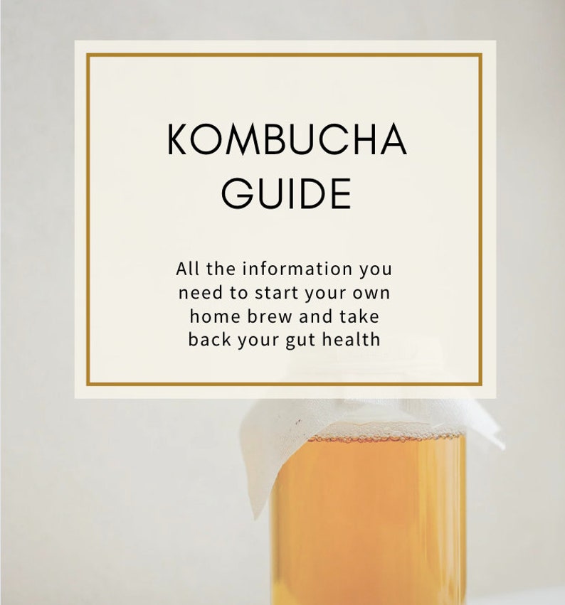 Kombucha Guide | Ebook | Fermentation | How to | Recipes | Health ...