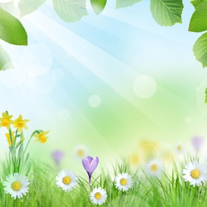 Spring Backgrounds. Flower Backgrounds. Photo Backgrounds. Horizontal ...