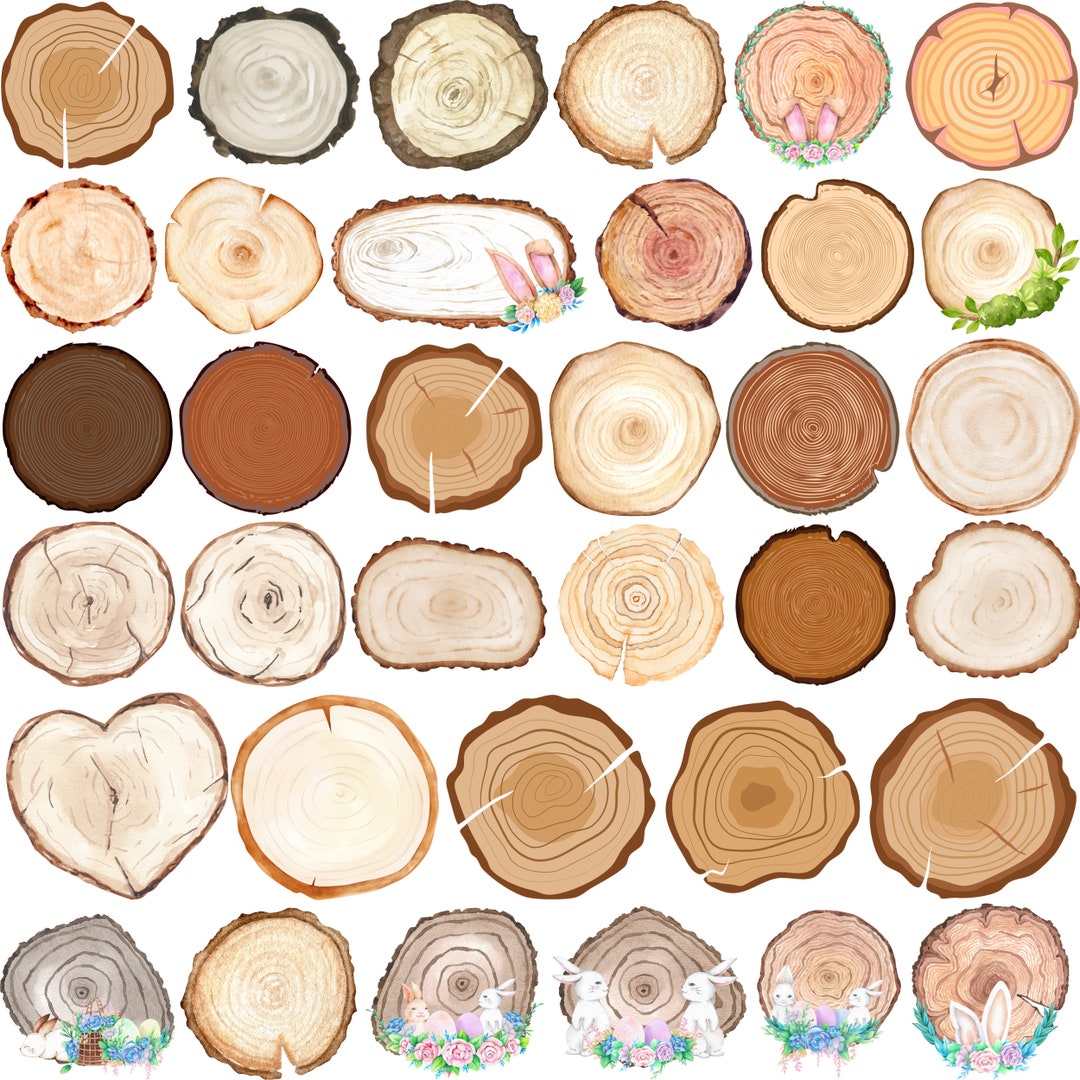 Wood Slice SVG Bundle, Wood Rings Svg, Cutting Wood Svg, Woodcutter Svg ...