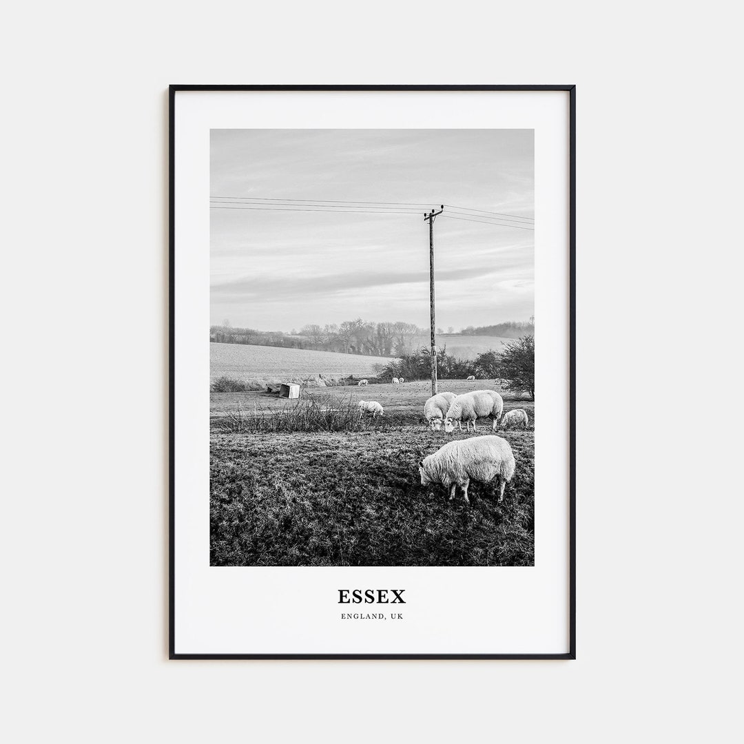 Essex Wall Art, Essex Wall Decor, Essex Poster, Essex Home Decor, Essex ...