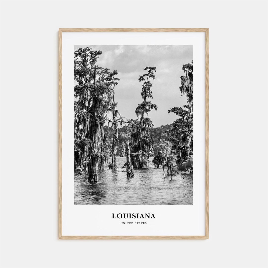 Louisiana Wall Art, Louisiana Wall Decor, Louisiana Poster, Louisiana ...