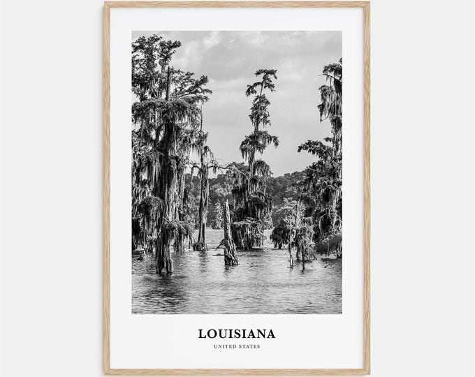 Louisiana Poster, State Design Louisiana Print / Picture / Hand Drawn ...