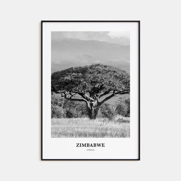 Zimbabwe Art - Etsy