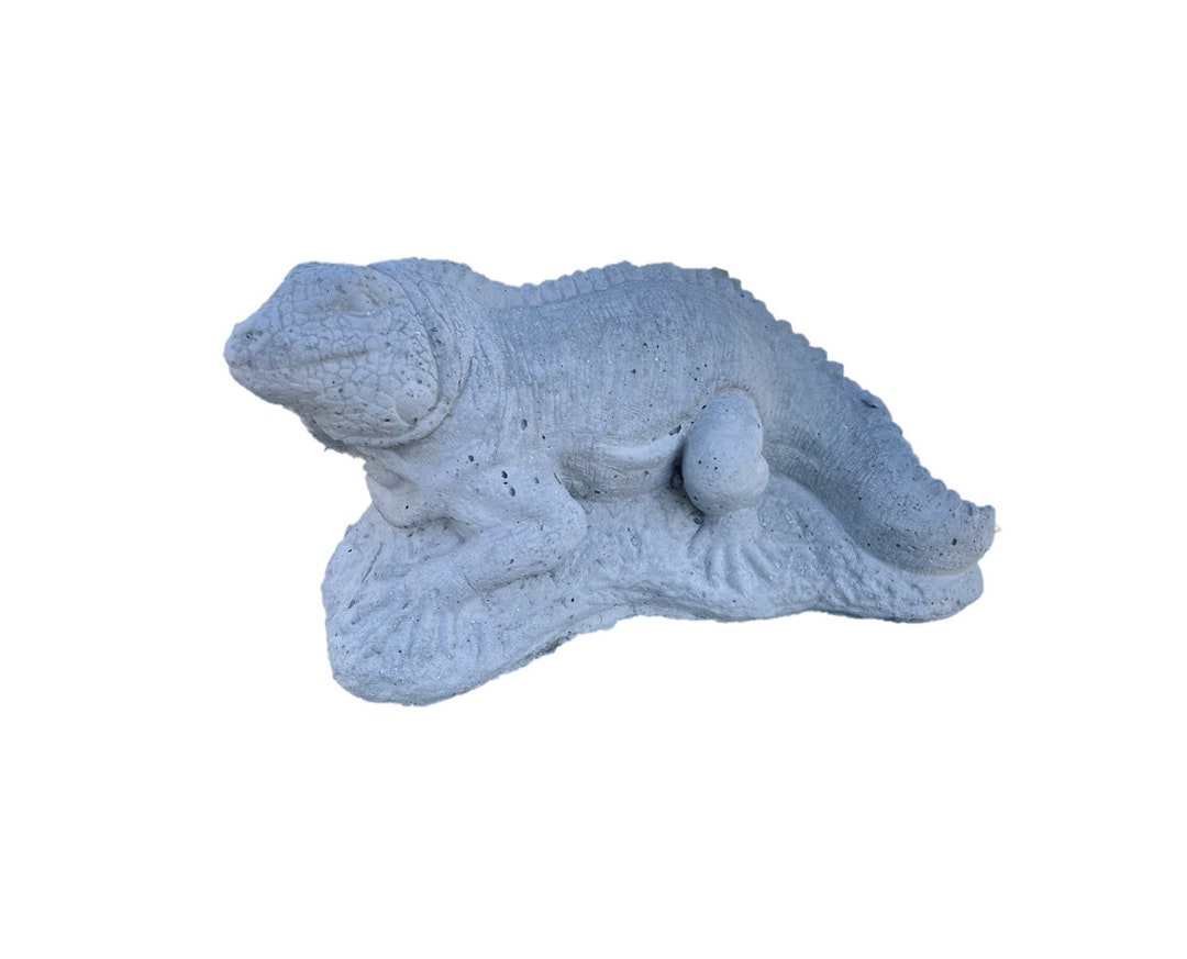 Iguana Concrete Statue, Small - Natural Concrete - Etsy