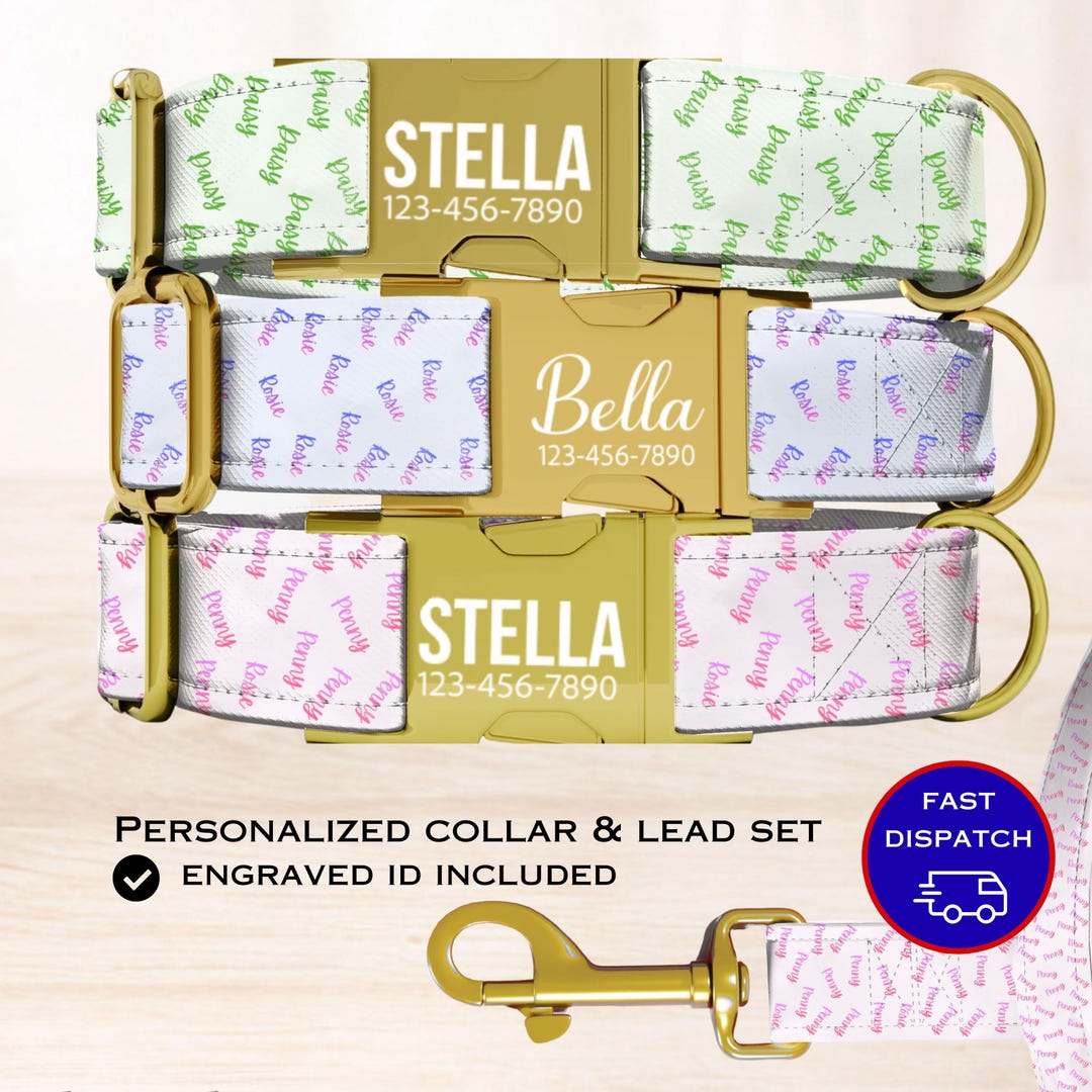Personalized Collar With Name, Named Collar & Leash Custom Girl Dog ...