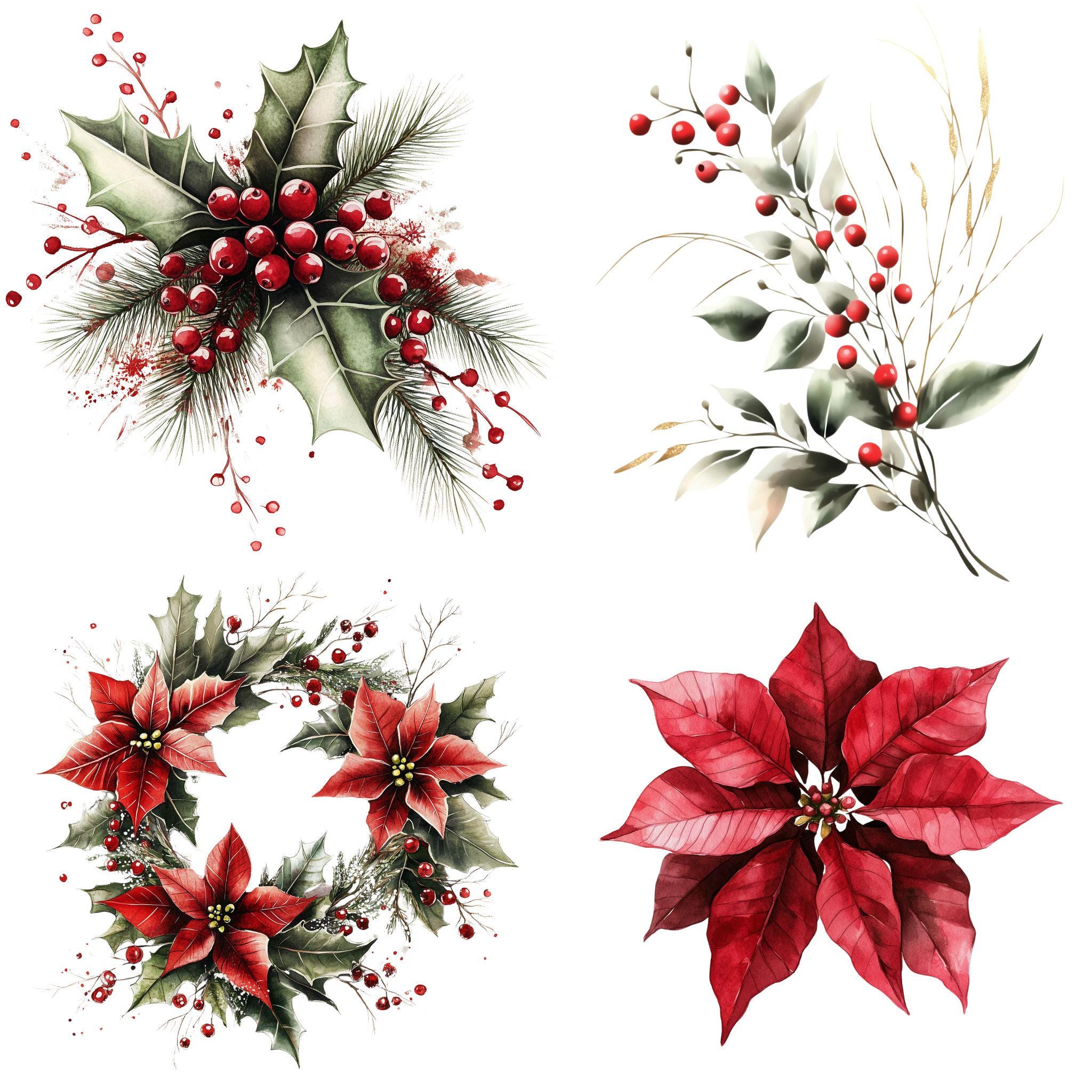 Christmas Florals - Watercolor Clipart - Commercial and Personal Use ...