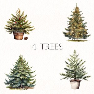 Winter Greenery Clipart - Transparent PNG - Christmas Trees - Wreaths ...