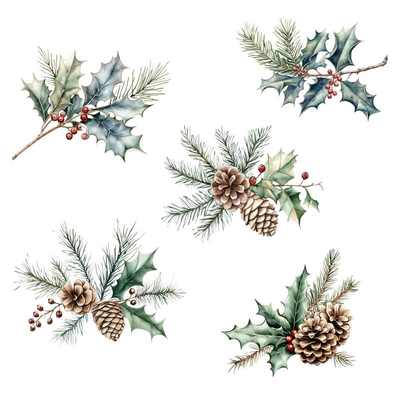 Winter Botanicals - Watercolor Clipart - Commercial and Personal Use ...
