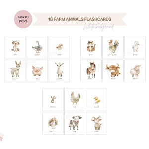 Farm Animals Cards, Montessori Flash Cards, Pre-school Cards, Colourful ...