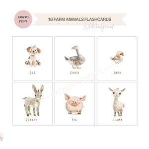 Farm Animals Cards, Montessori Flash Cards, Pre-school Cards, Colourful ...