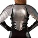 Medieval Armor Female Fantasy Steel Armor Lady Cuirass Silver Dress ...