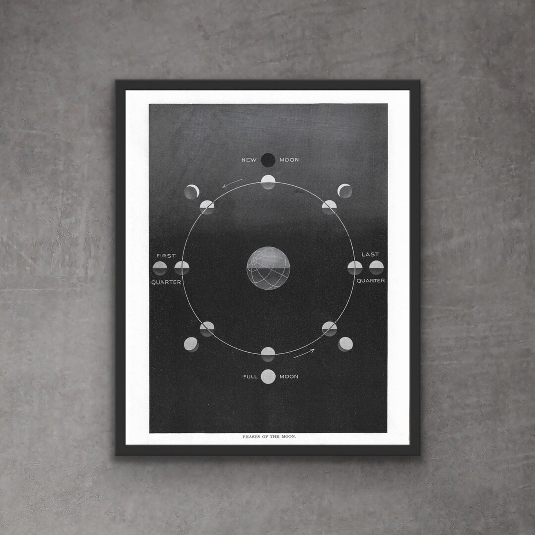 Phases of the Moon Poster Vintage Wall Art Astronomy Print - Etsy