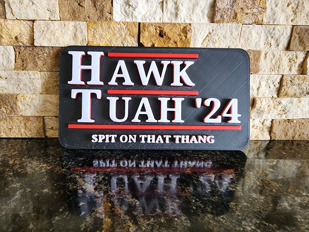 Hawk Tuah '24 3D Display - Etsy