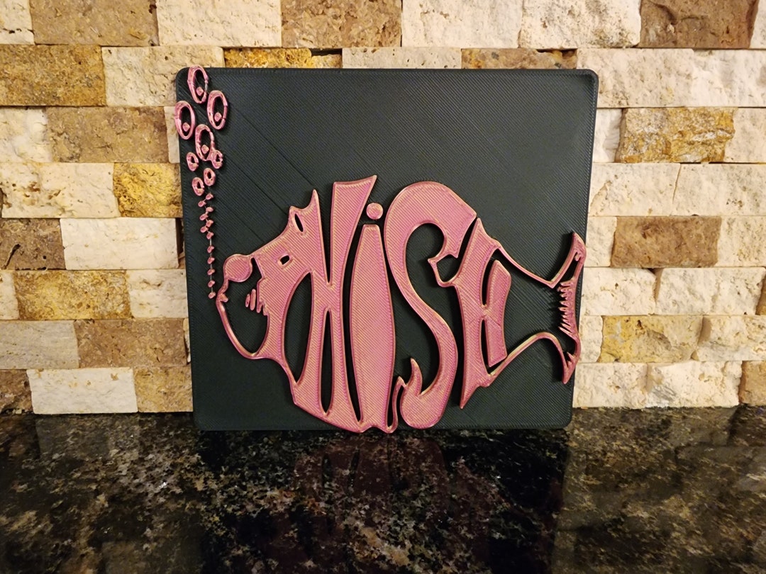 Phish Band 3D Display - Etsy