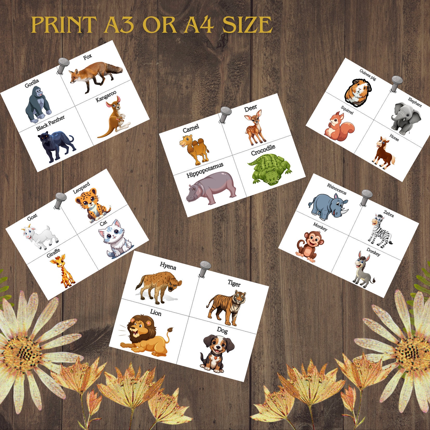 Animals Cartoon Flash Cards for Kids From Kindercry - Etsy